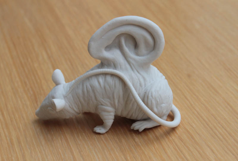 Kate MacDowell – Mindy Solomon Gallery