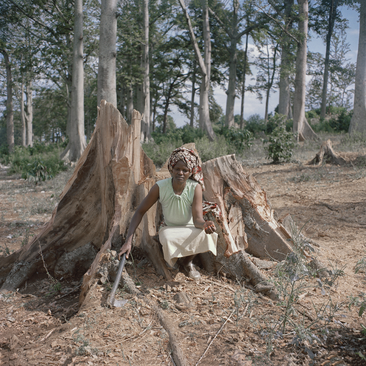 I am my Story – Mindy Solomon Gallery