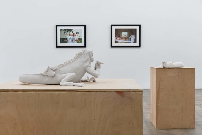 Kate MacDowell – Mindy Solomon Gallery