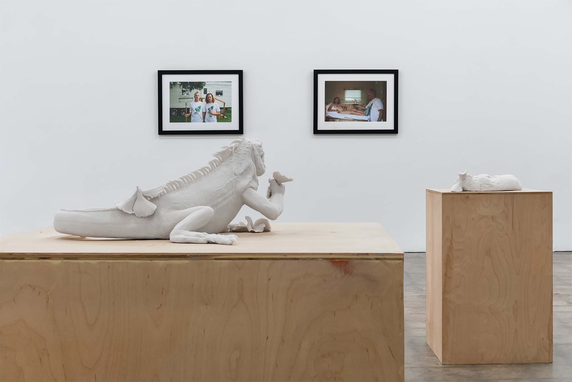 Kate MacDowell – Mindy Solomon Gallery