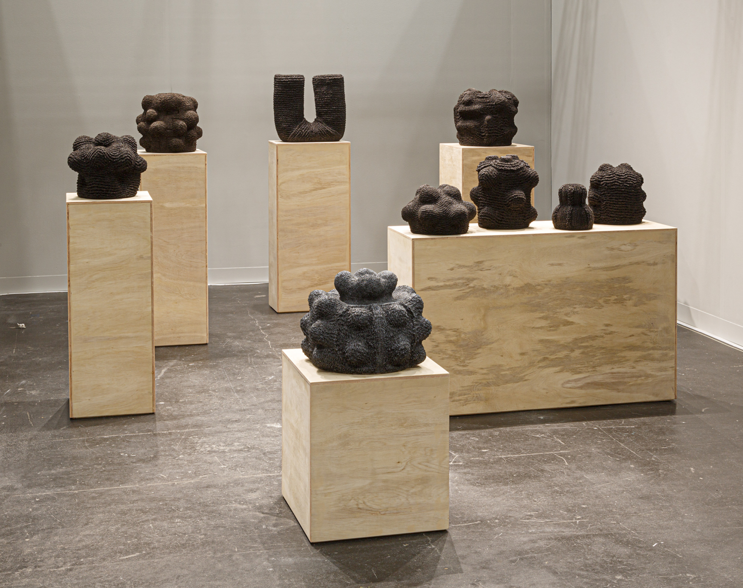 Donté Hayes – Mindy Solomon Gallery