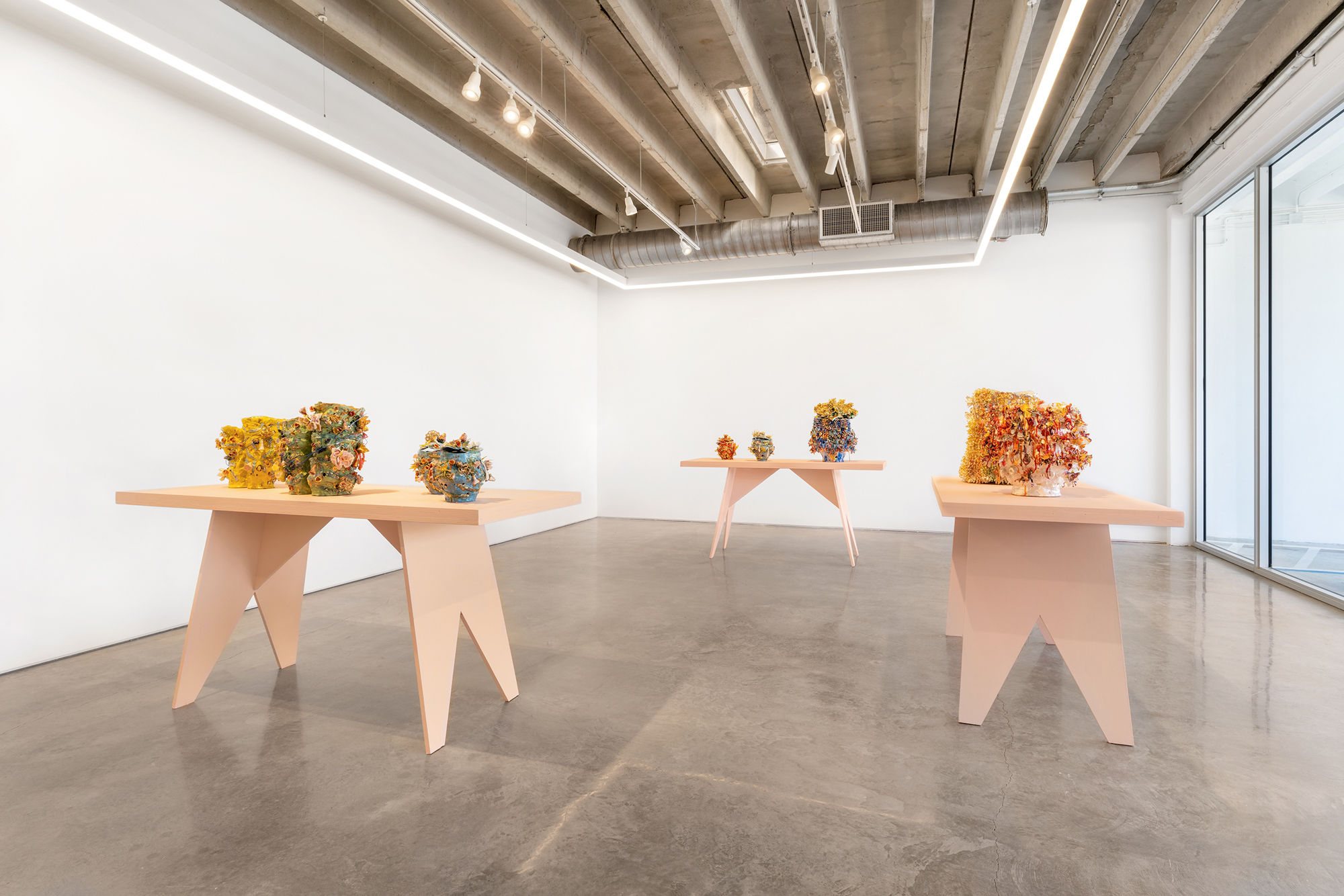 Virginia Leonard – Mindy Solomon Gallery