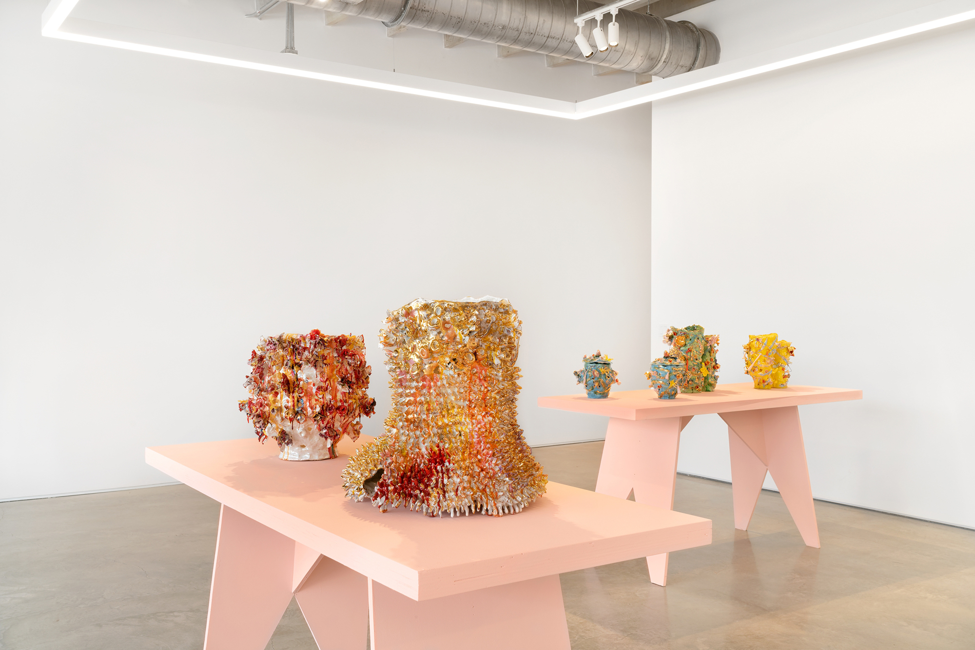 Virginia Leonard – Mindy Solomon Gallery
