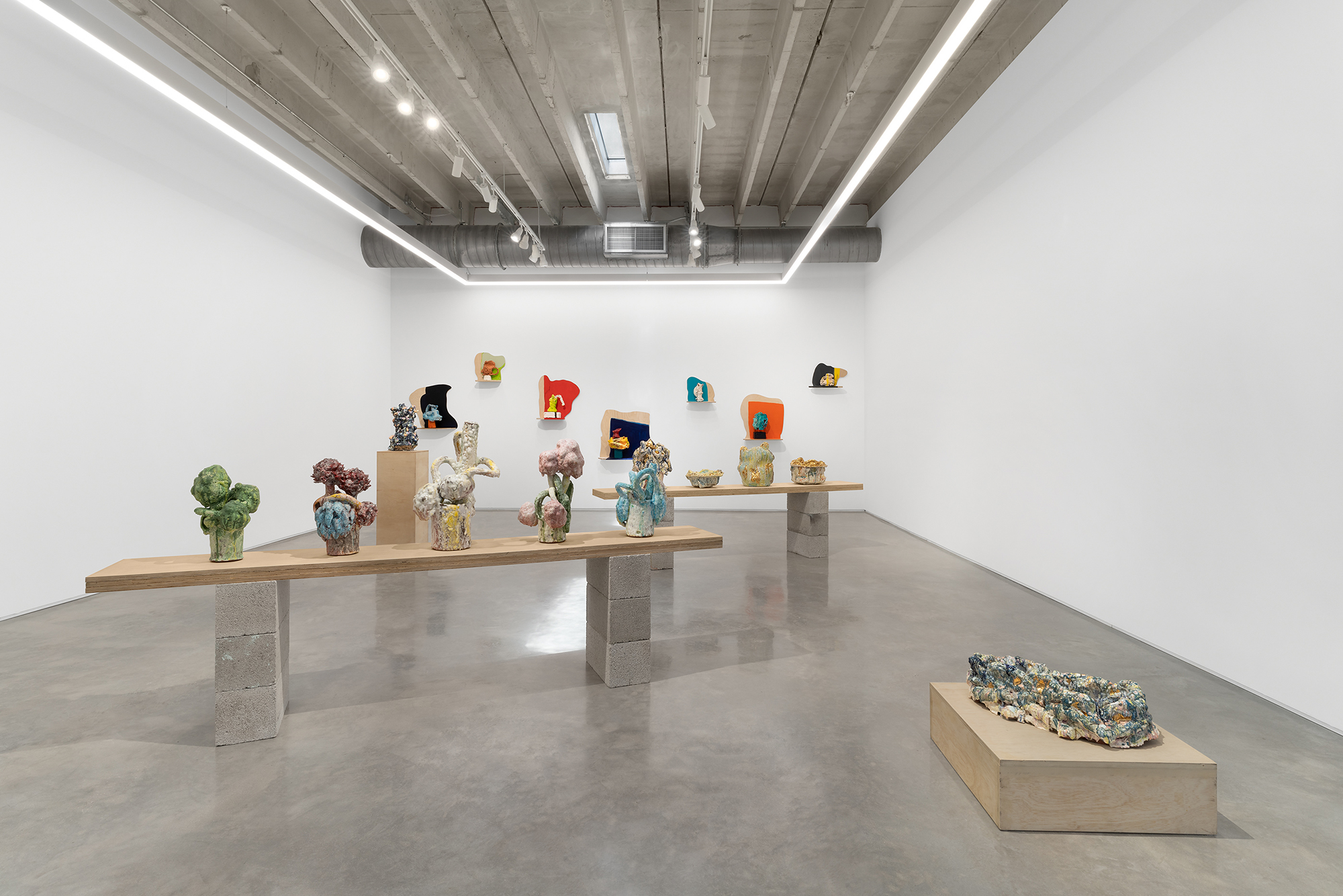 David Hicks – Mindy Solomon Gallery