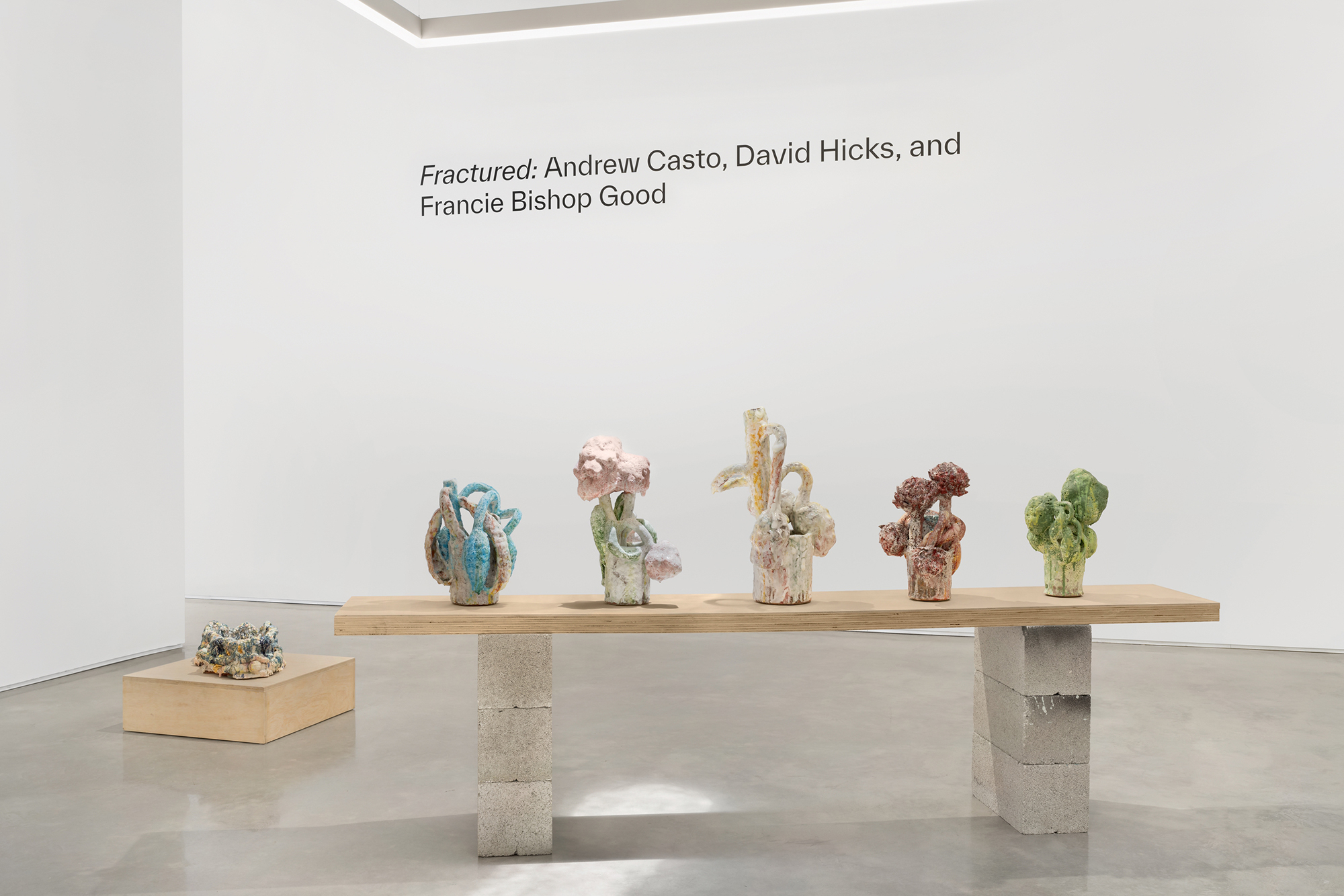 David Hicks – Mindy Solomon Gallery