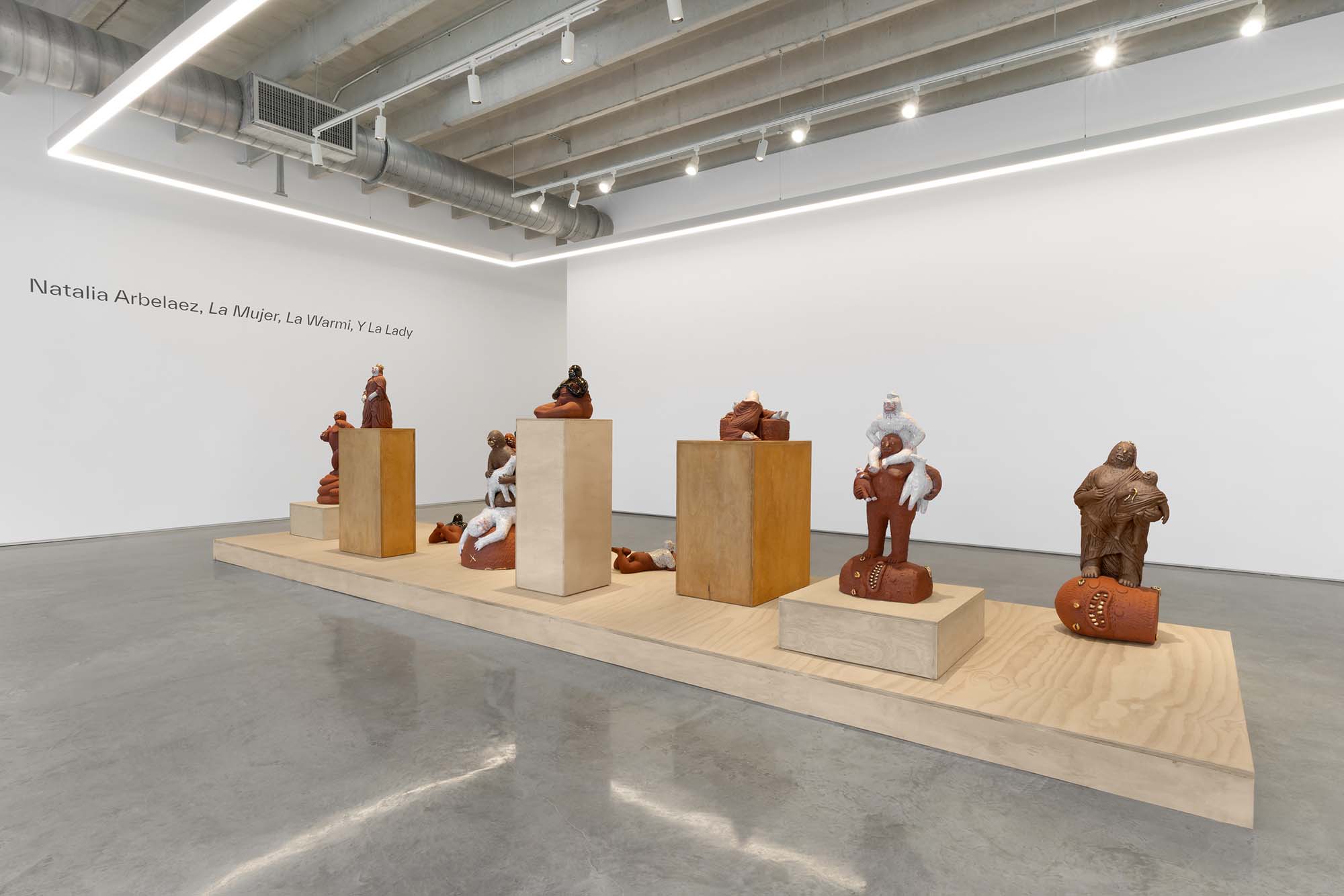 Natalia Arbelaez: La Mujer, La Warmi, y La Lady – Mindy Solomon Gallery